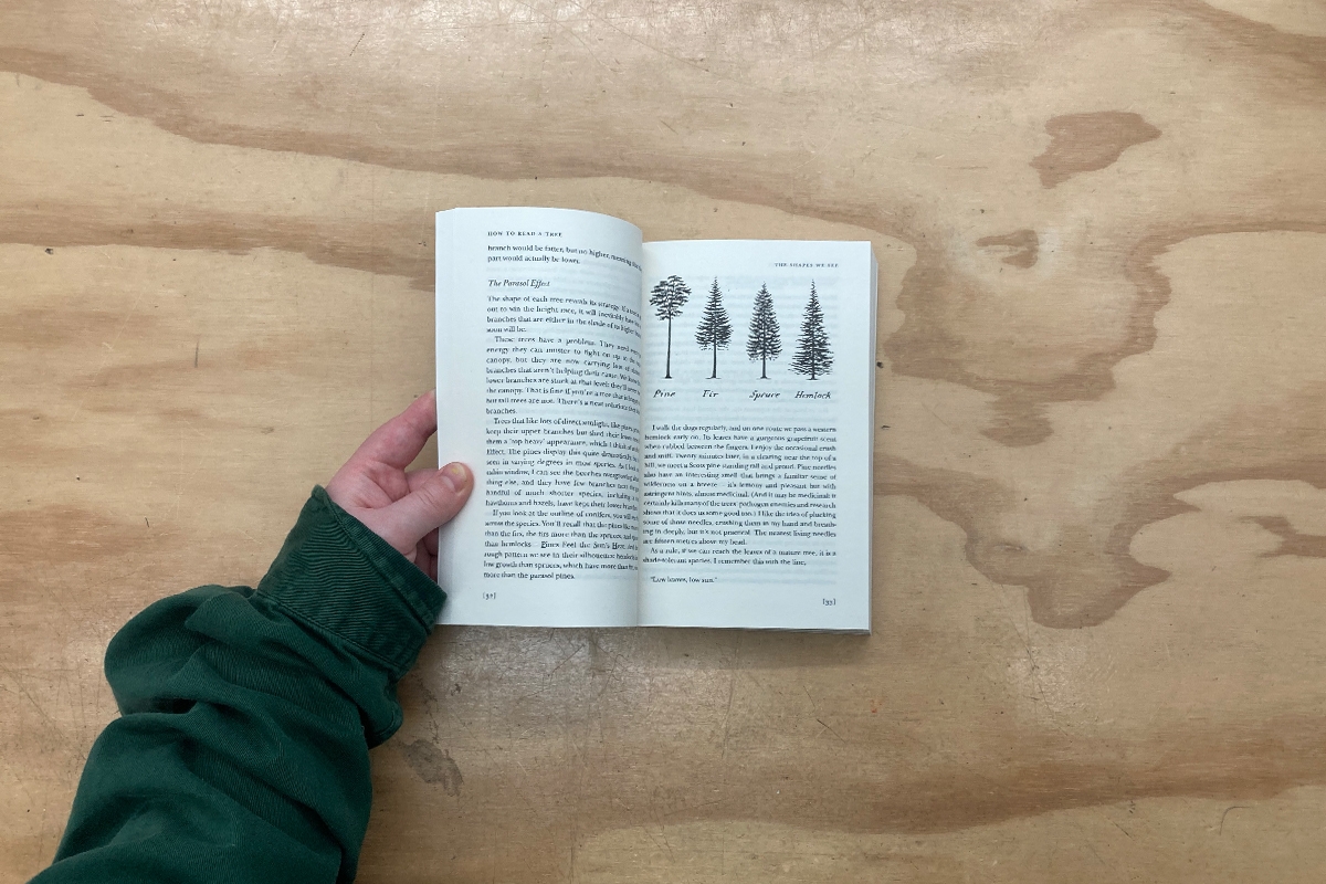 How To Read a Tree. Clues & Patterns from Roots to Leaves | Tristan ...