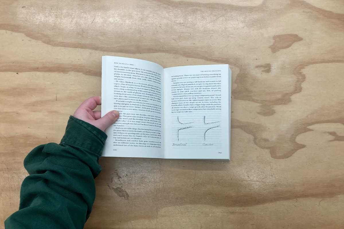 How To Read a Tree. Clues & Patterns from Roots to Leaves | Tristan ...