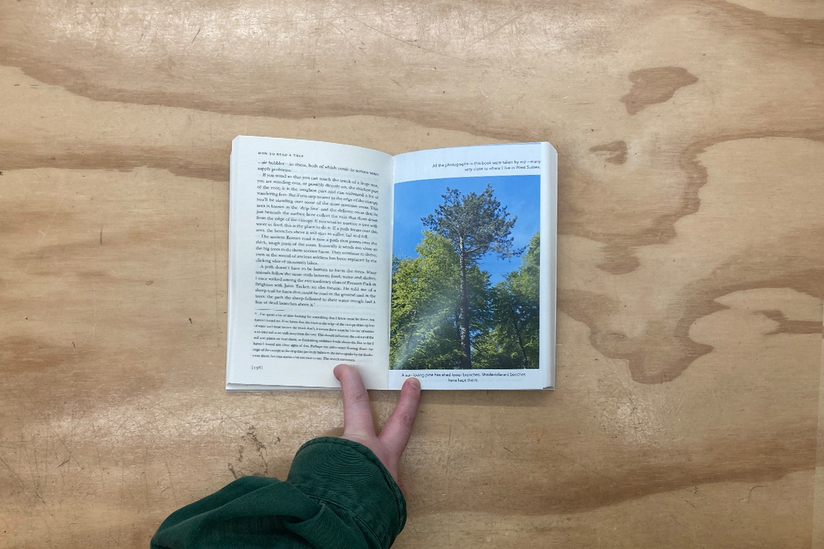 How To Read a Tree. Clues & Patterns from Roots to Leaves | Tristan ...